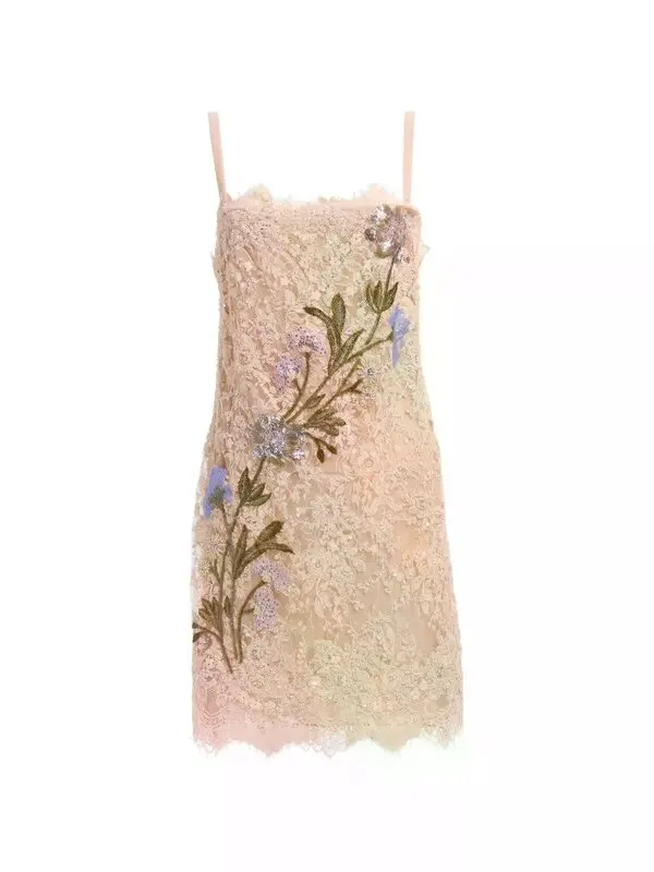 Elie Saab Floral-lace Mini Dress - Neutrals