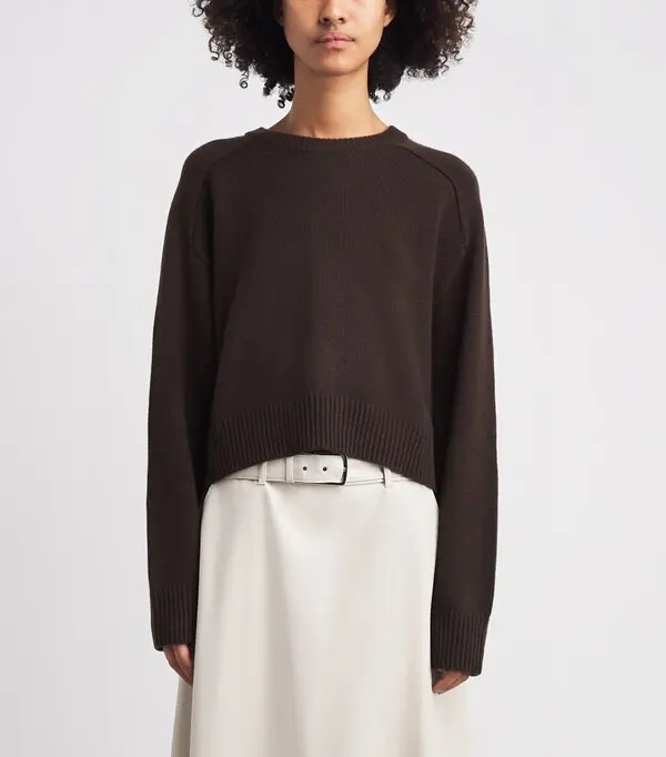 Soft Goat Cashmere Crew-neck Sweater