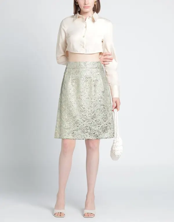 Dolce & Gabbana Two-tone Metallic Finish A-line Skirt