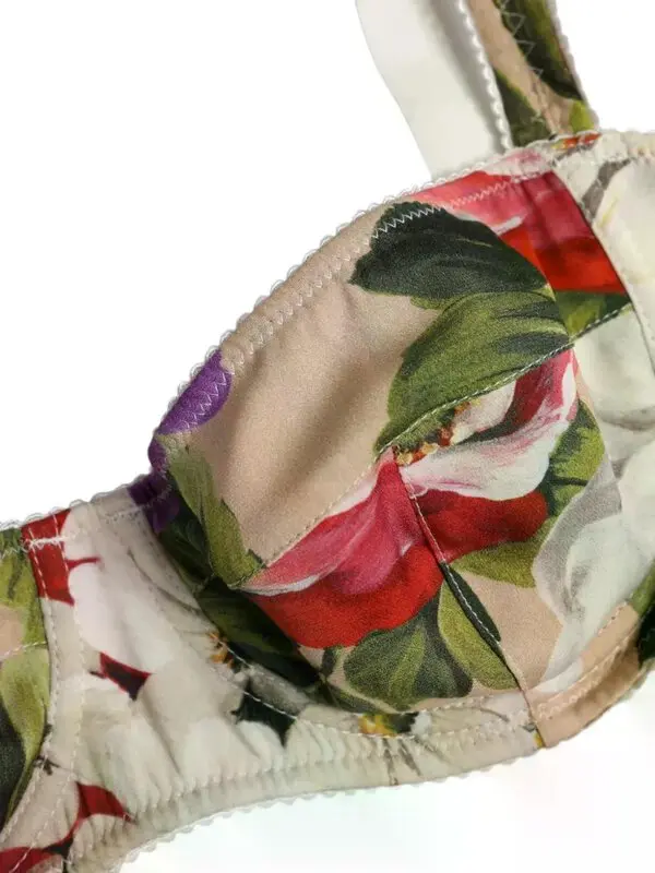 Dolce & Gabbana Floral-print Underwired Bra