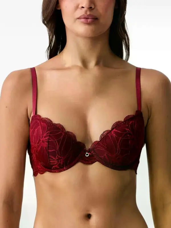 Emporio Armani Floral-lace Push-up Bra