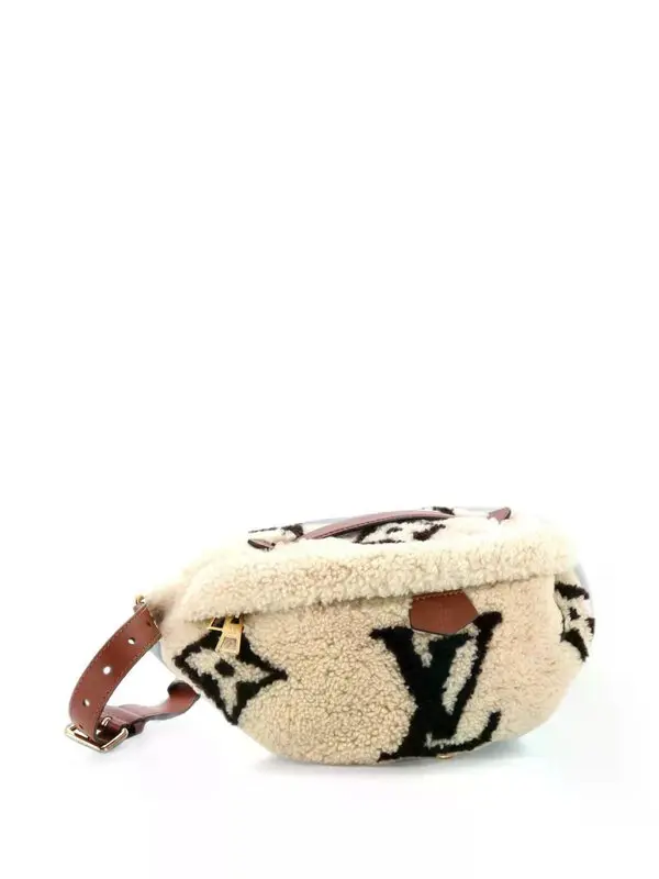 LOUIS VUITTON Bum Bag Monogram Giant Teddy Fleece Belt Bag