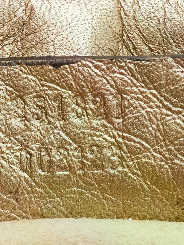 Gucci 1973 Mini Chain Crossbody Bag