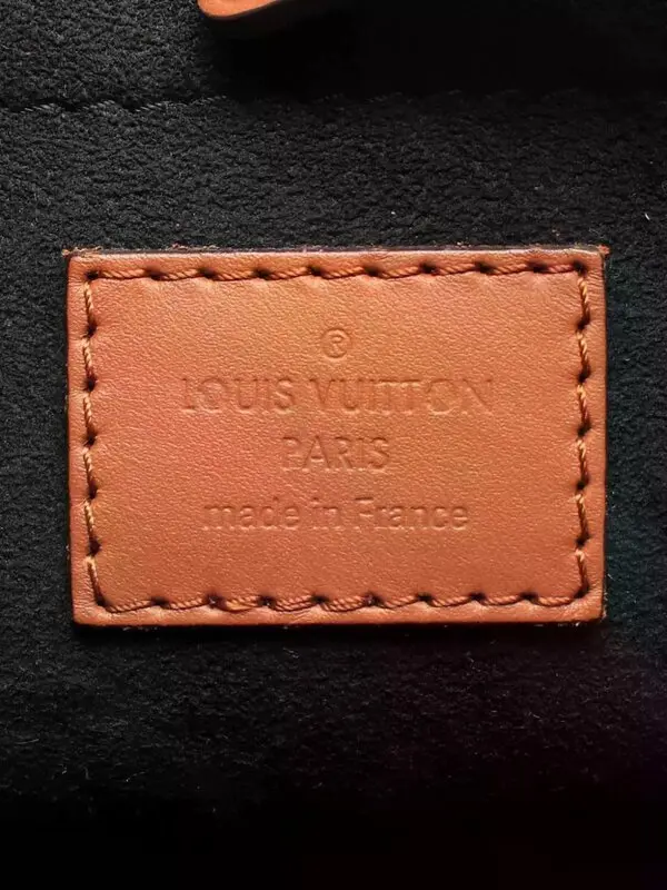 LOUIS VUITTON 2021-2026 Monogram Reverse Dauphine Pm Backpack