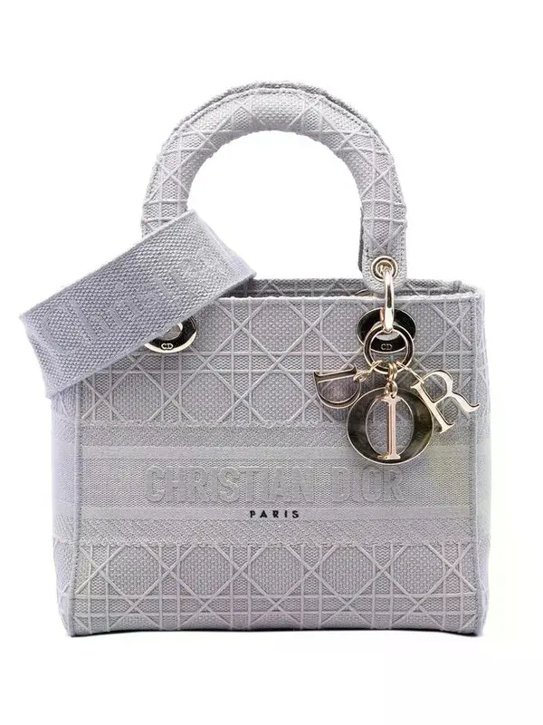Dior 2020 Medium Embroidered Canvas Cannage Lady D Lite Satchel