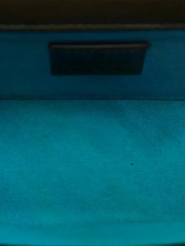 Gucci 2016-2026 Medium Gg Velvet Dionysus Crossbody Bag