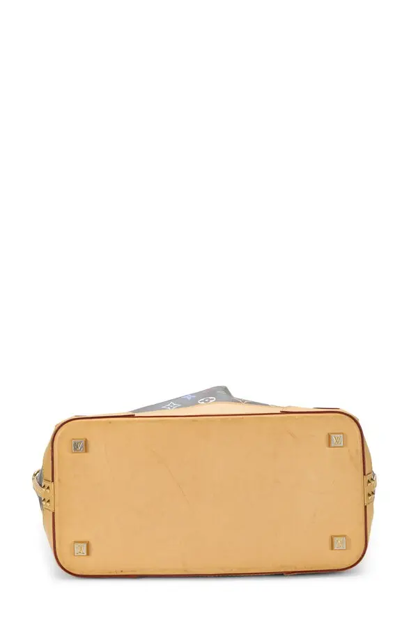 LOUIS VUITTON Takashi Murakami X Monogram Multicolore Sharleen