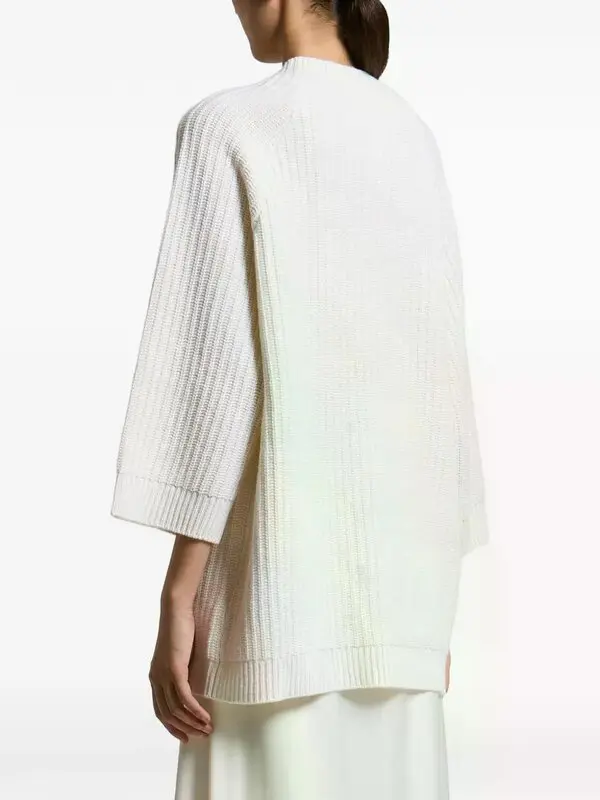 Peserico Fringe-detail Ribbed-knit Sweater