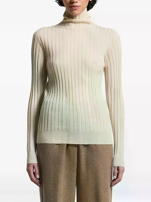Peserico Ribbed-knit Roll-neck Sweater