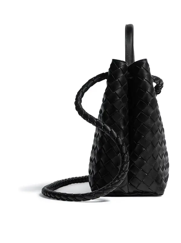 Bottega Veneta Medium Andiamo Bag