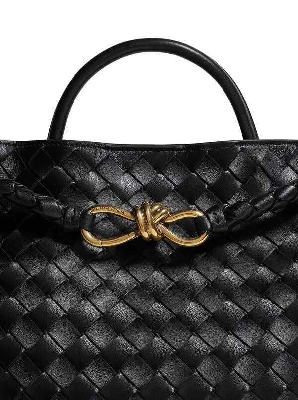 Bottega Veneta Medium Andiamo Bag