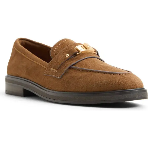 Aldo Biatrice Leather Loafer