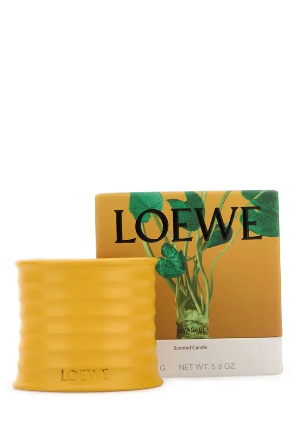 Loewe Small Wasabi Scented Candle