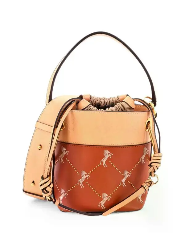 Chloé Roy Embroidered Leather Mini Bucket Bag