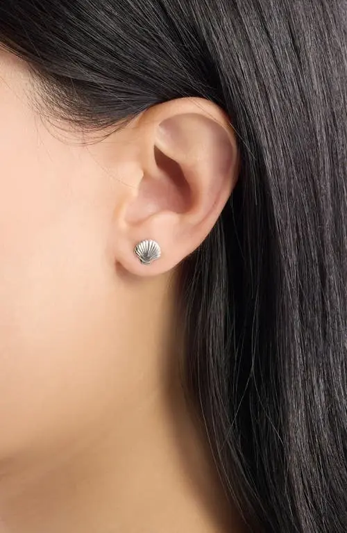 CHILD OF WILD Cove Shell Stud Earrings - Silver