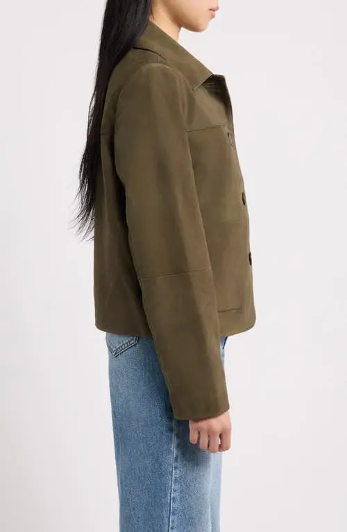 Bernardo Suede Crop Jacket