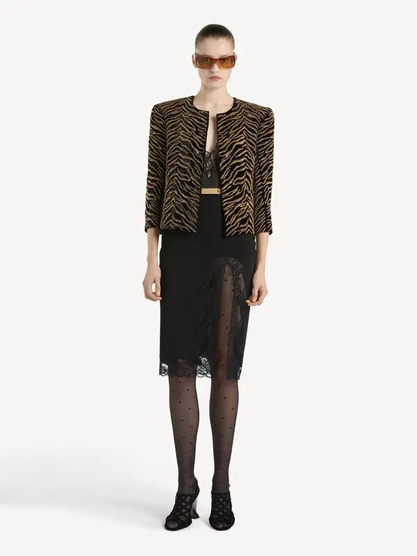 Balmain Velvet Jacket With Tiger Embroidery - Multicolor