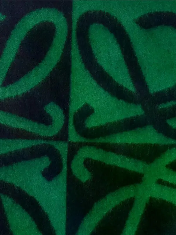 Loewe Scarf In Wool And Cashmere