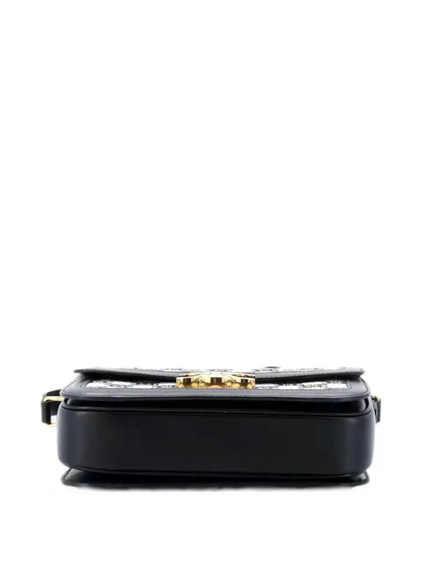 Celine Triomphe Triomphe Canvas Medium Shoulder Bag