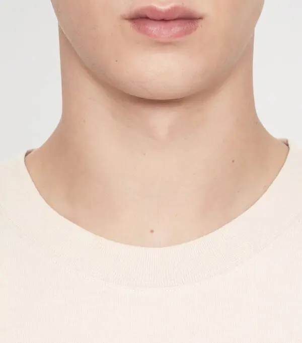 ALLSAINTS Organic Cotton Roller T-shirt