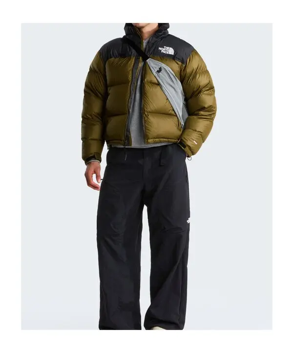 The North Face Hooded Puffer Jacket