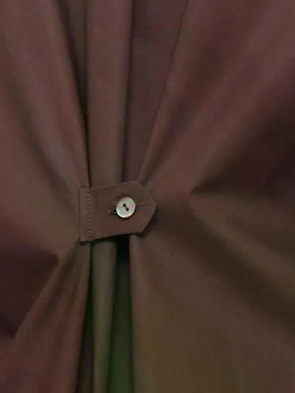 PANICALE Sheer-sleeve Button-back Shirt