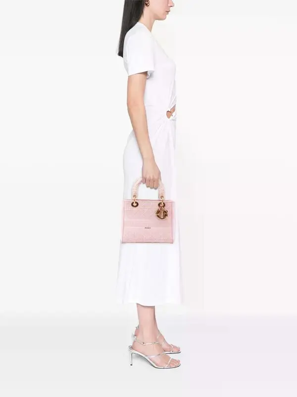 Dior 2020 Medium Embroidered Canvas Cannage Lady D Lite Satchel