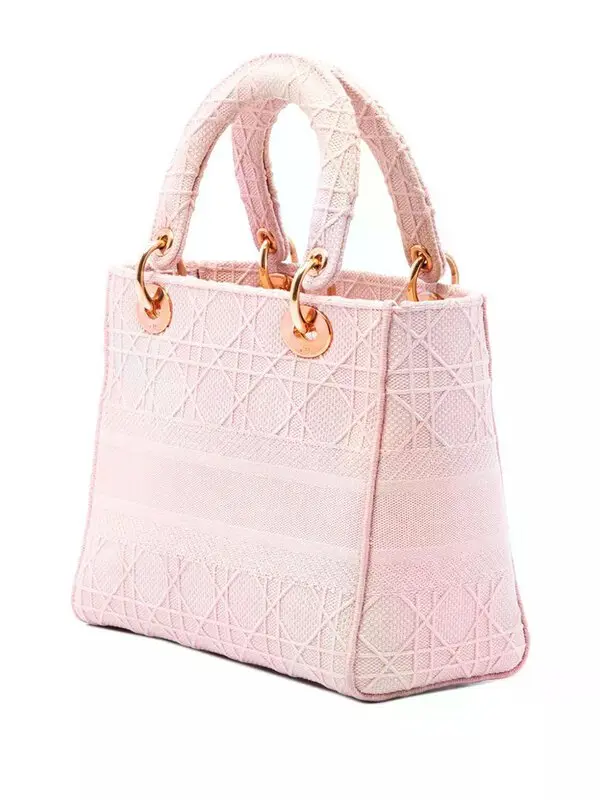 Dior 2020 Medium Embroidered Canvas Cannage Lady D Lite Satchel