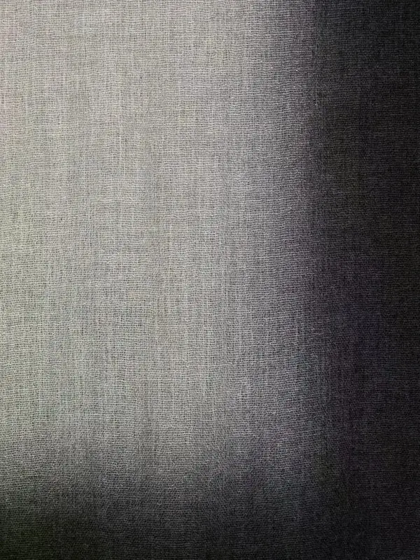 Faliero Sarti Fringed Gradient-effect Scarf