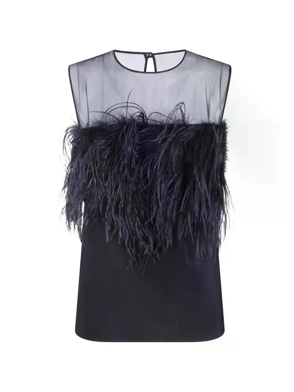 Alberta Ferretti Enver Feather-trim Sheer-panel Top