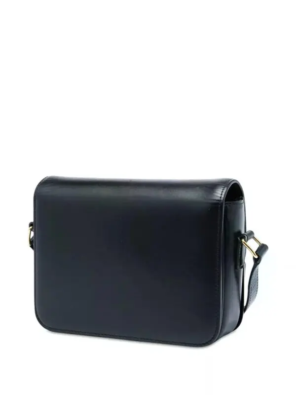 Celine 2019 Teen Shiny Calfskin Triomphe Crossbody Bag - Black
