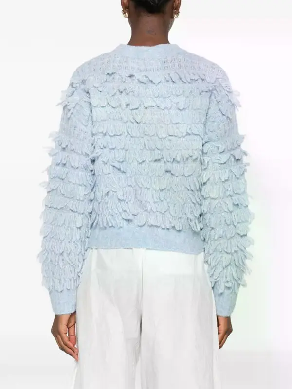 ABSOLUT CASHMERE Yara Fringe-detail Crew-neck Sweater