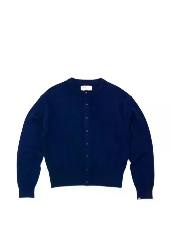Extreme Cashmere Luce Cardigan - Blue