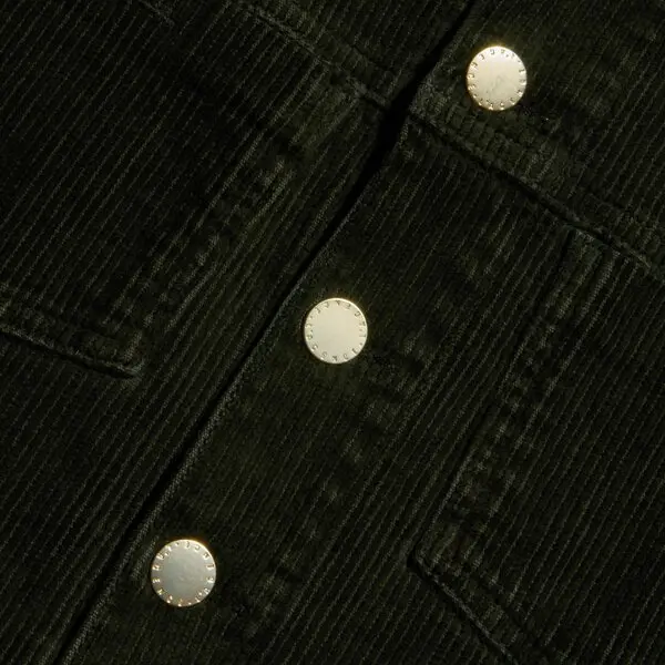 L'Agence Janelle Corduroy Jacket