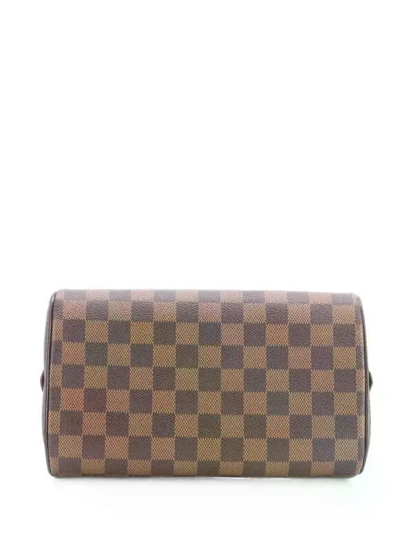 LOUIS VUITTON Ribera Handbag Damier Mini Satchel