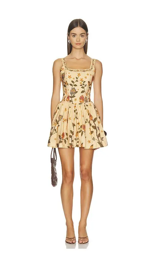 Agua Bendita Ambra Mini Dress In Beige