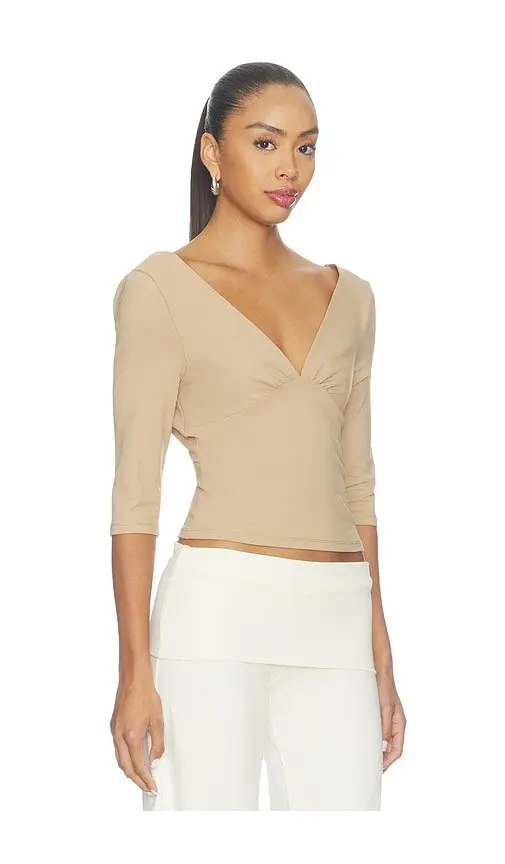 Lioness Canyon Top In Tan