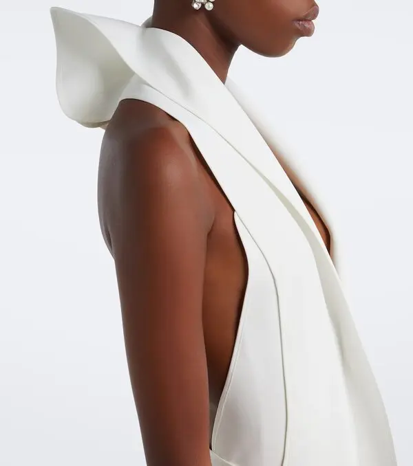 Maticevski Allude Asymmetric Halterneck Jersey Gown