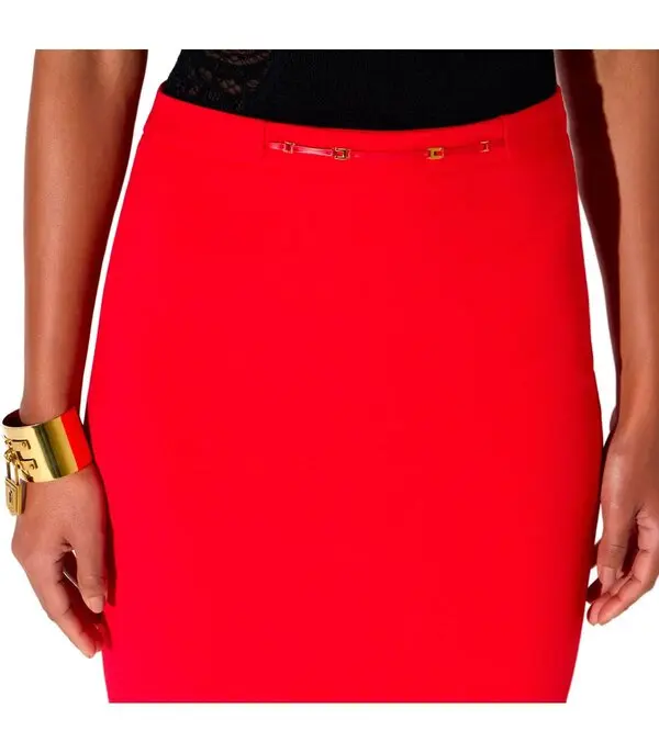 Elisabetta Franchi Midi Skirt
