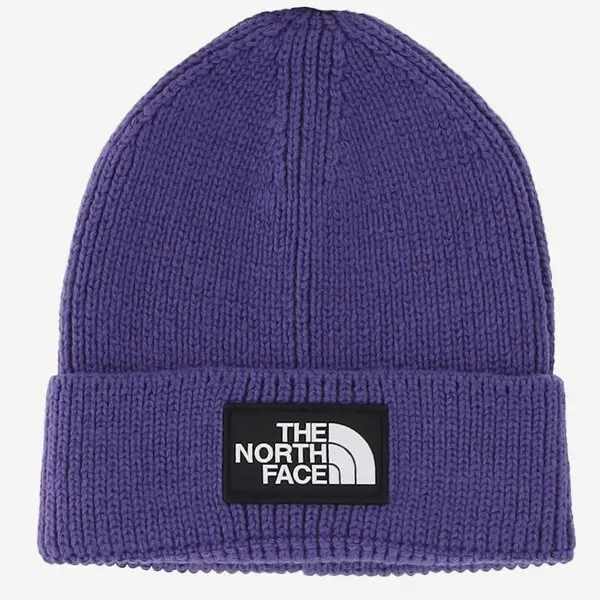 The North Face Logo Beanie