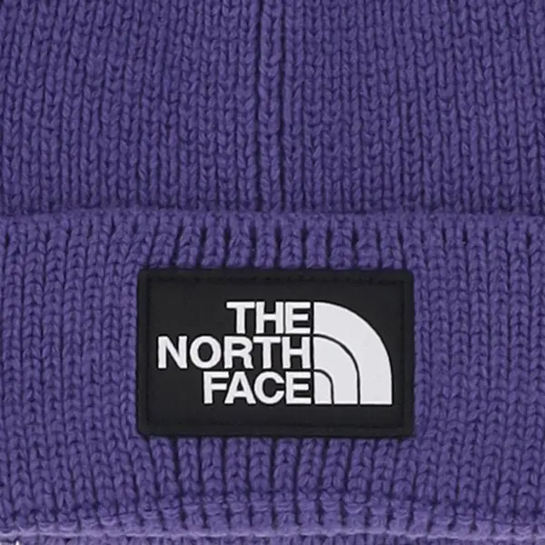 The North Face Logo Beanie