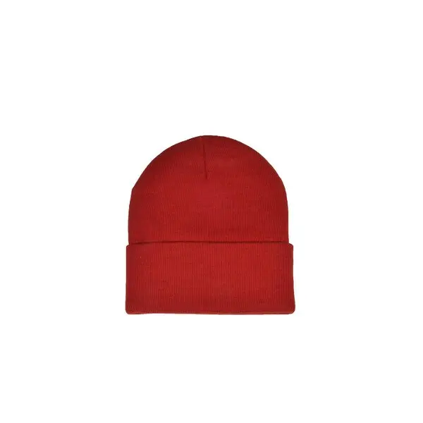 Carhartt Work In Progress Hats