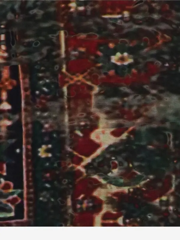 Faliero Sarti New Carpet Print Stole