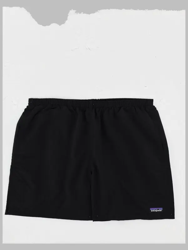 Patagonia Shorts 'baggies