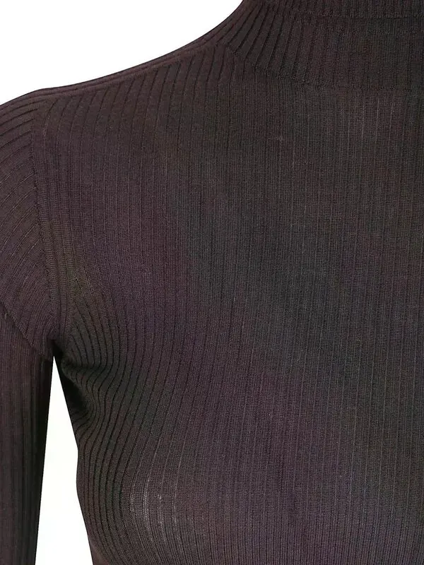 Sportmax Ribbed-knit Roll-neck Sweater