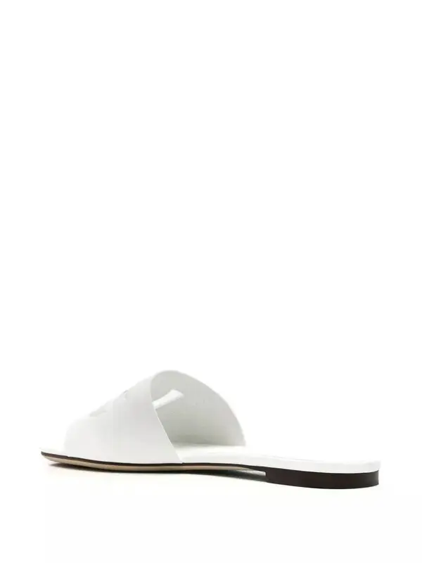 Dolce & Gabbana Dg Logo Slides