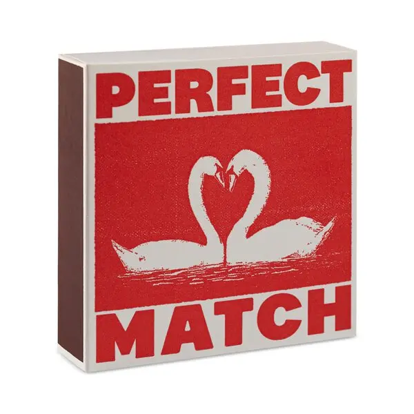 ARCHIVIST GALLERY I Like You Swans Matches