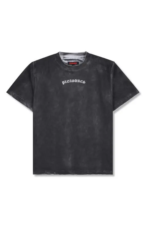 PLEASURES Spray Heavyweight Graphic T-shirt