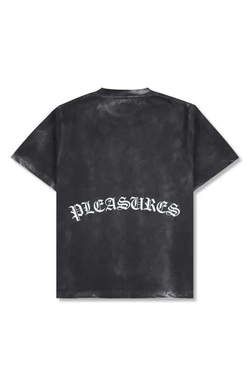 PLEASURES Spray Heavyweight Graphic T-shirt