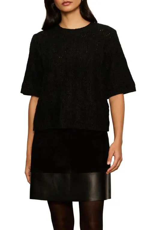 Sanctuary Pointelle Short Sleeve Sweater
